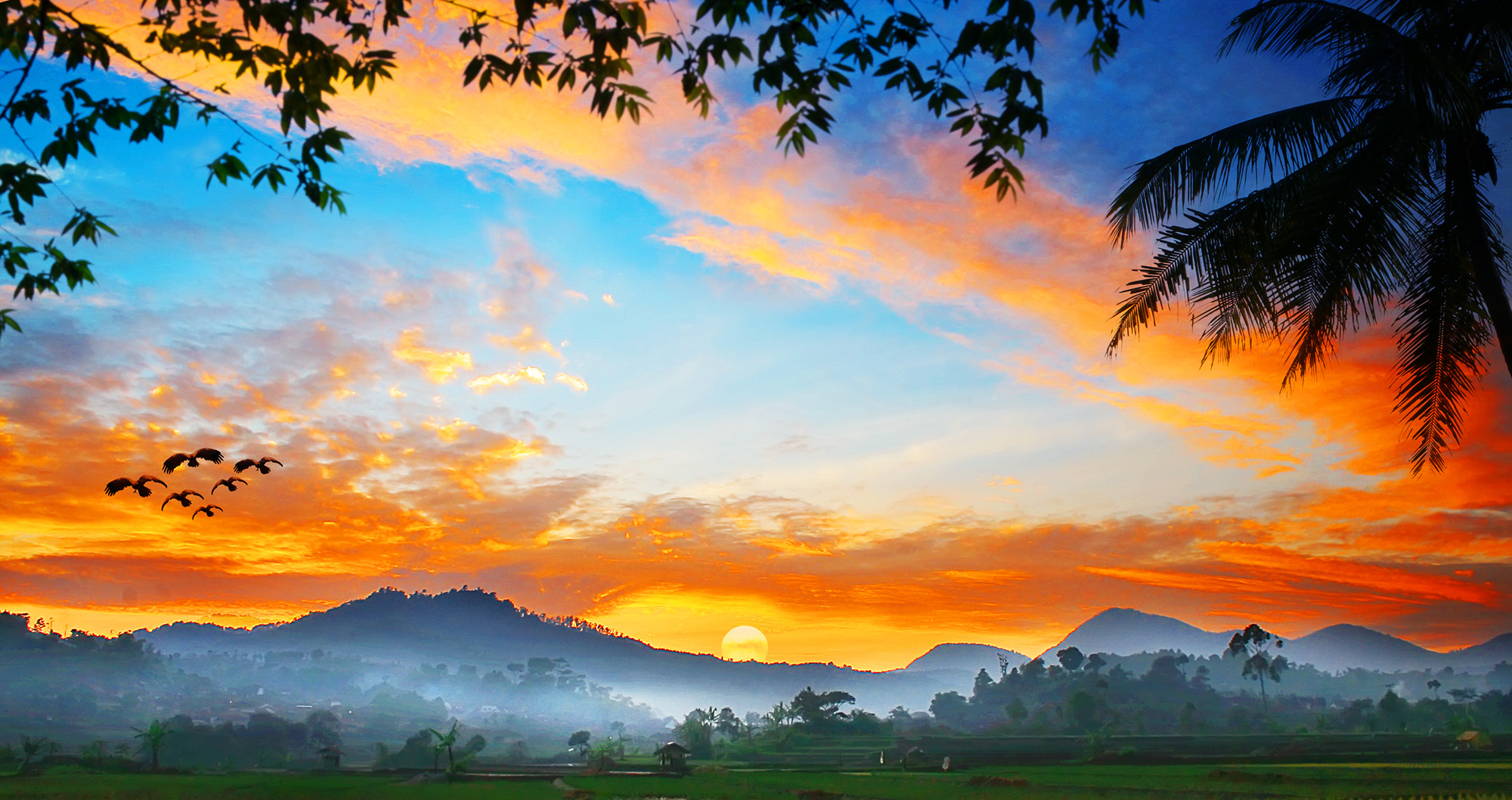 What's On The Horizon - Outdoor-Movies.com